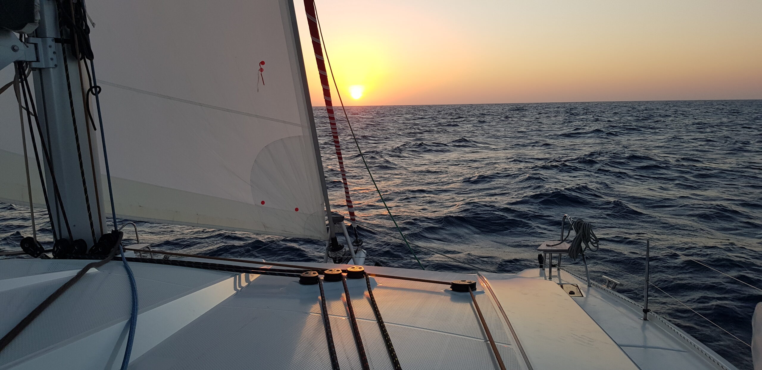 L’atlantique : 4000 km avec les poissons. - Voile Aventure Monde